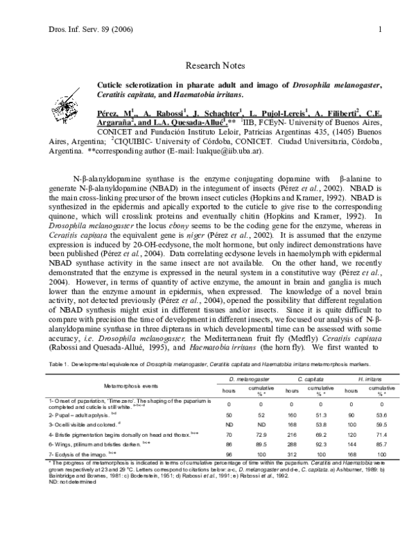 (PDF) Cuticle sclerotization in pharate adult and imago of Drosophila ...