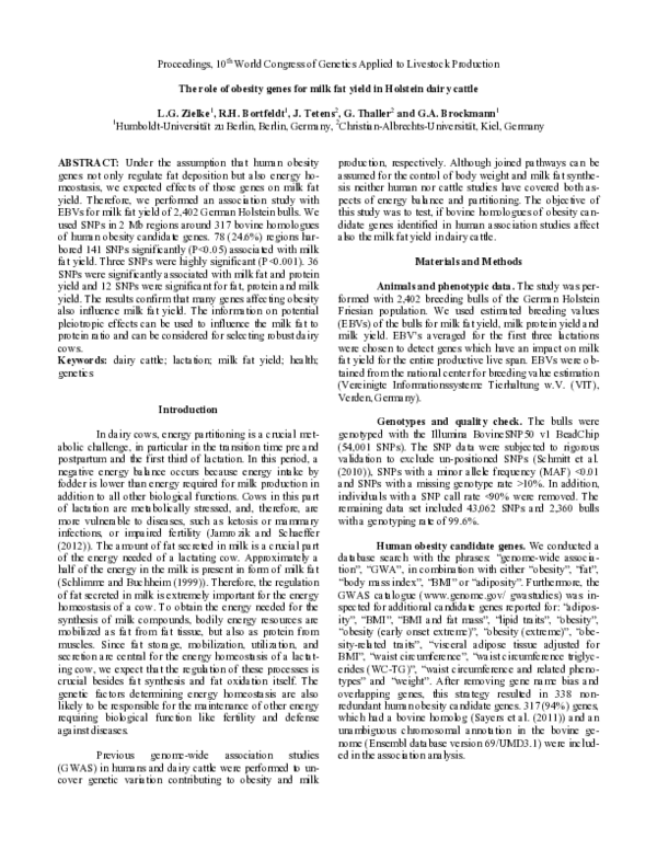 (PDF) The role of obesity genes for milk fat yield in Holstein dairy cattle