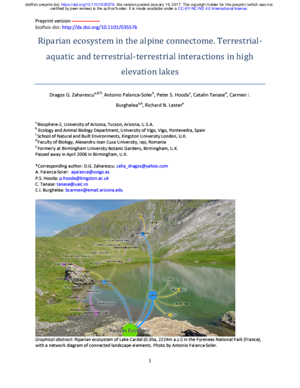 (PDF) Riparian ecosystem in the alpine connectome. Terrestrial-aquatic ...