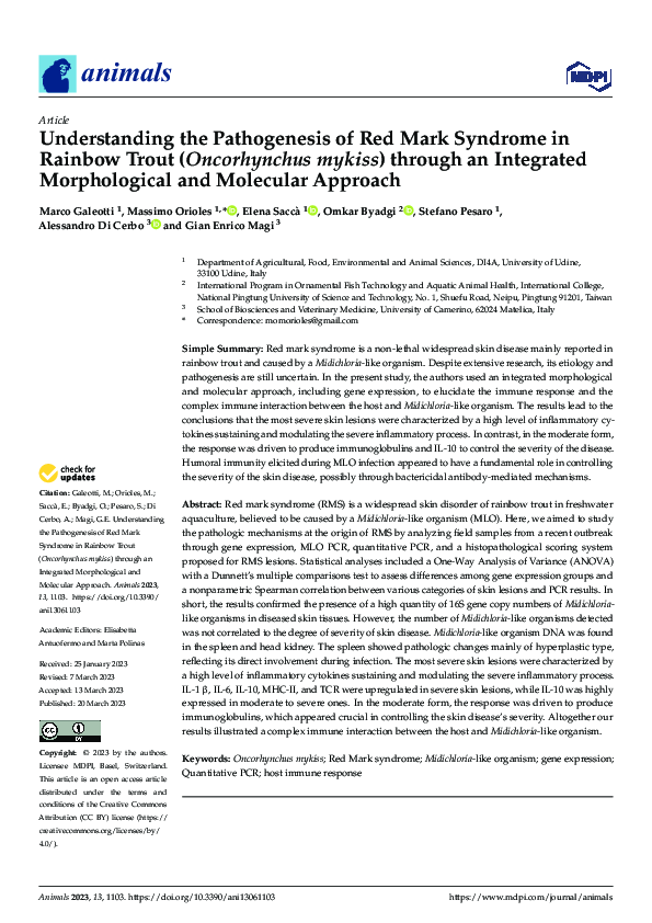 (PDF) Understanding the Pathogenesis of Red Mark Syndrome in Rainbow ...