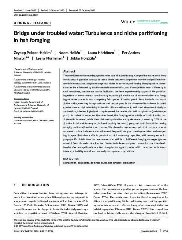 (PDF) Bridge under troubled water: Turbulence and niche partitioning in fish foraging