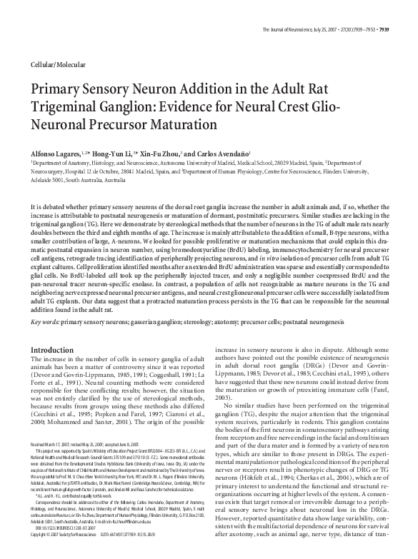 (PDF) Primary Sensory Neuron Addition in the Adult Rat Trigeminal ...
