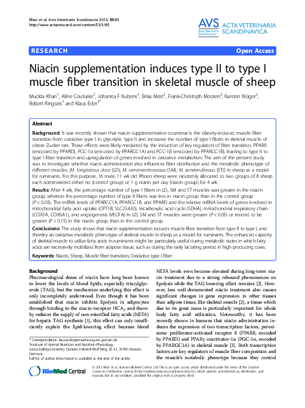 (PDF) Niacin supplementation induces type II to type I muscle fiber ...