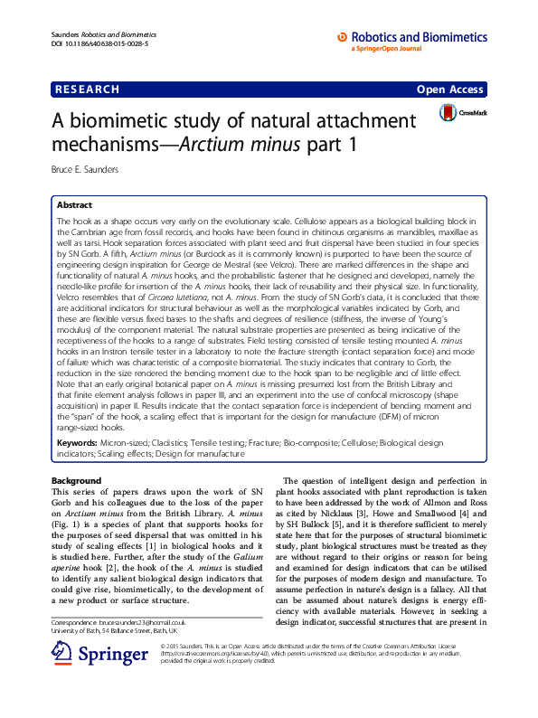 (PDF) A biomimetic study of natural attachment mechanisms—Arctium minus ...