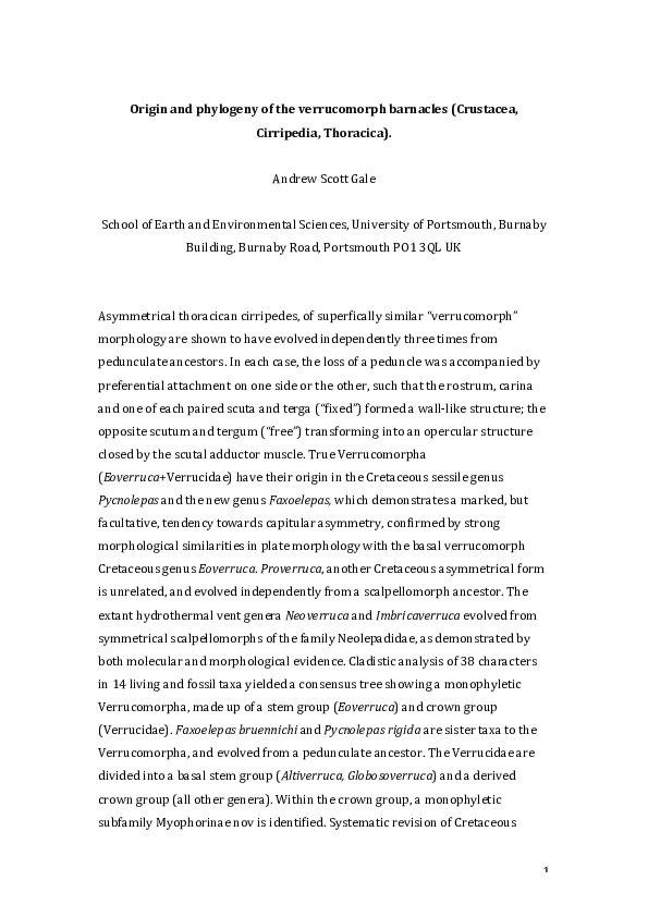 (PDF) Origin and phylogeny of verrucomorph barnacles (Crustacea ...