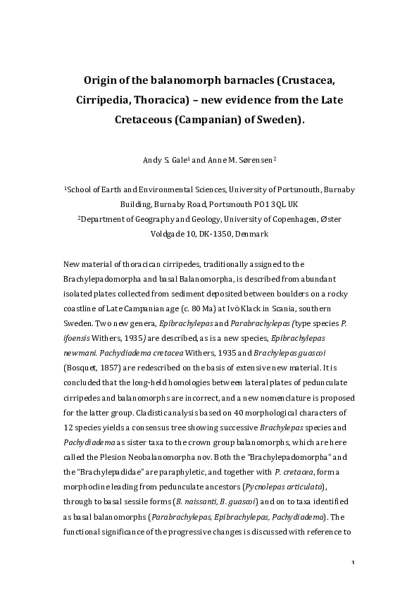 (PDF) Origin of the balanomorph barnacles (Crustacea, Cirripedia ...