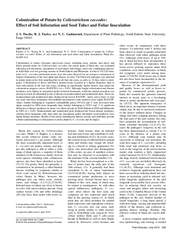 (PDF) Colonization of Potato by Colletotrichum coccodes : Effect of ...