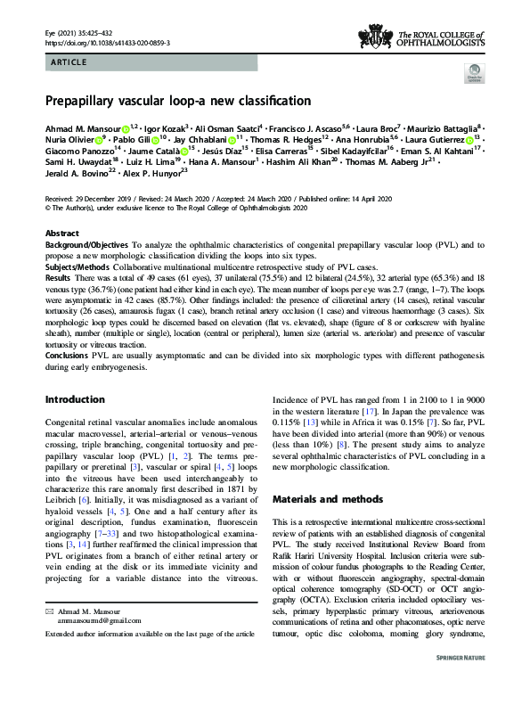 (PDF) Prepapillary vascular loop-a new classification