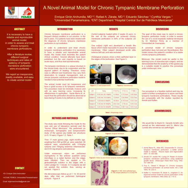 (PDF) A Novel Animal Model for Chronic Tympanic Membrane Perforation