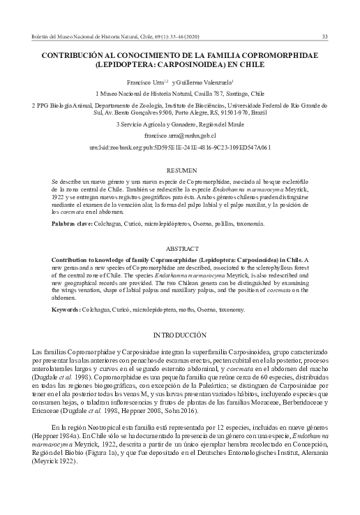 (PDF) Contribución al conocimiento de la familia Copromorphidae ...