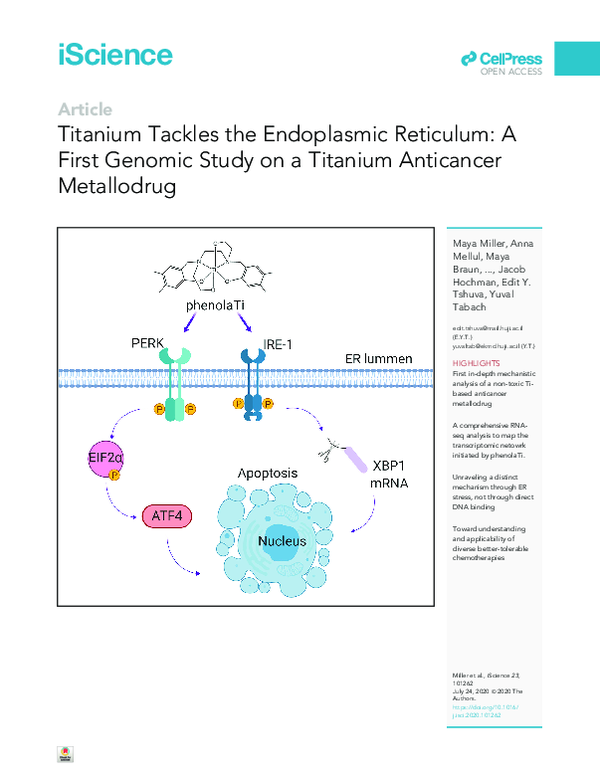 (PDF) Titanium Tackles the Endoplasmic Reticulum: A First Genomic Study ...