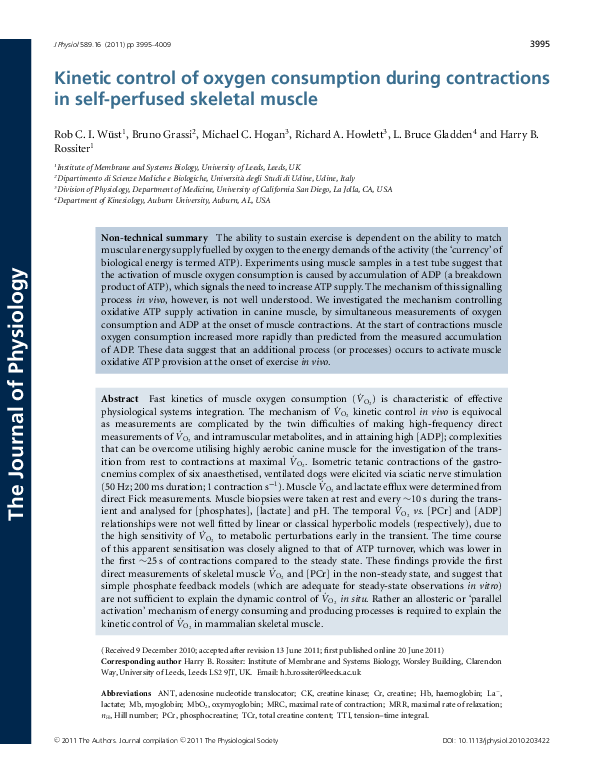 (PDF) Kinetic control of oxygen consumption during contractions in self ...