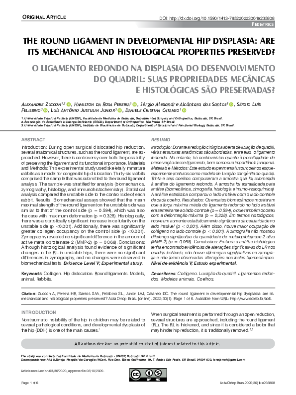 (PDF) The Round Ligament in Developmental Hip Dysplasia: Are Its ...