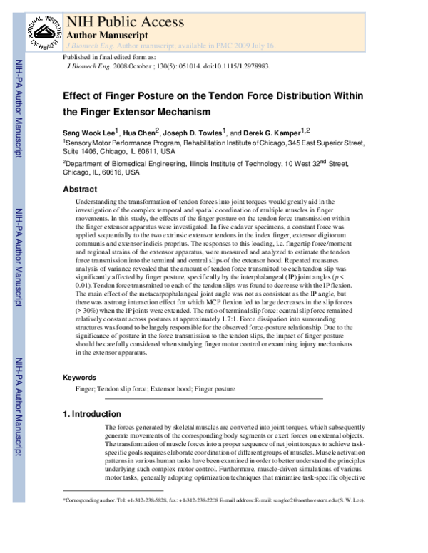 (PDF) Effect of Finger Posture on the Tendon Force Distribution Within ...
