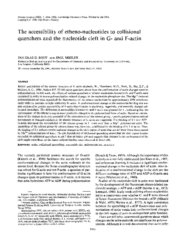 (PDF) The accessibility of etheno-nucleotides to collisional quenchers ...