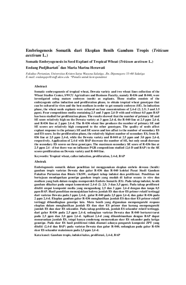 (PDF) Embriogenesis Somatik dari Eksplan Benih Gandum Tropis (Triticum ...