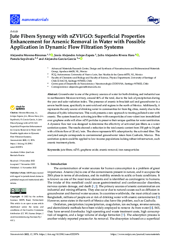 (PDF) Jute Fibers Synergy with nZVI/GO: Superficial Properties ...