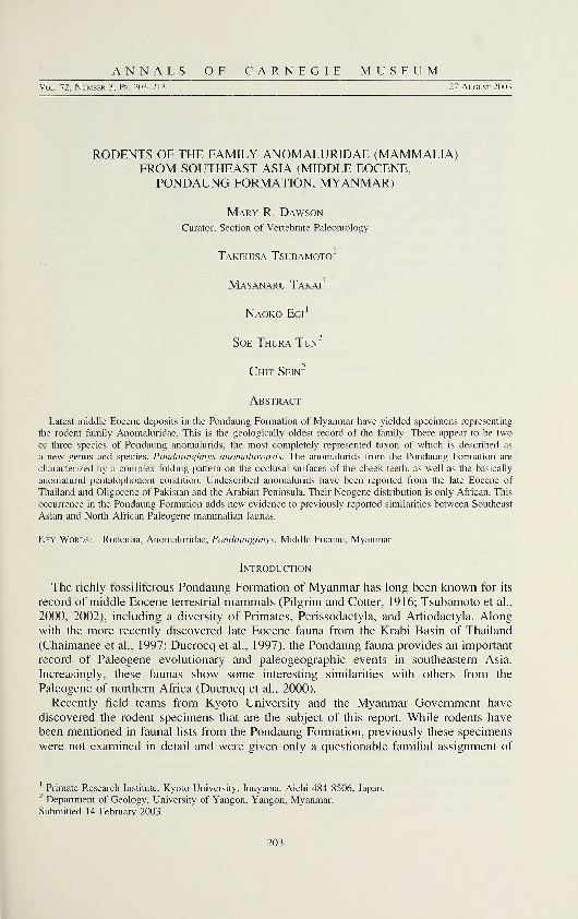 (PDF) Rodents of the family Anomaluridae (Mammalia) from Southeast Asia ...