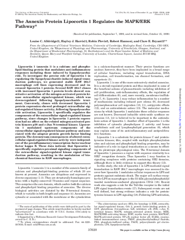(PDF) The Annexin Protein Lipocortin 1 Regulates the MAPK/ERK Pathway