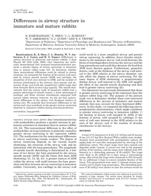 (PDF) Differences in airway structure in immature and mature rabbits