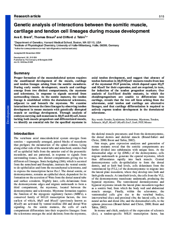 (PDF) Genetic analysis of interactions between the somitic muscle ...