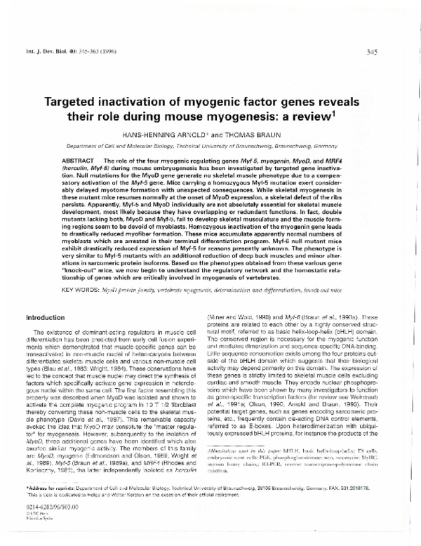 (PDF) Targeted inactivation of myogenic factor genes reveals their role ...