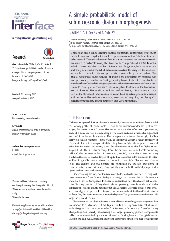 (PDF) A simple probabilistic model of submicroscopic diatom morphogenesis