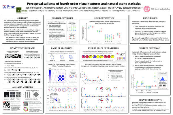 (PDF) Perceptual salience of fourth-order visual textures and natural scene statistics