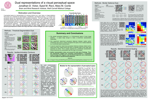 (PDF) Dual representations of a visual perceptual space