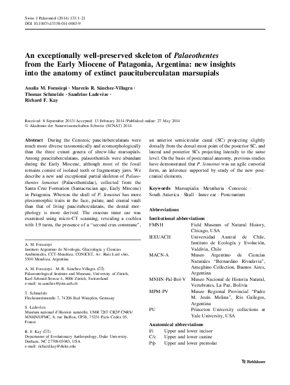 (PDF) An exceptionally well-preserved skeleton of Palaeothentes from ...