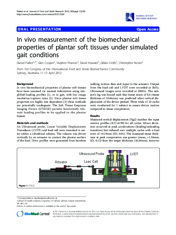 (PDF) In vivo measurement of the biomechanical properties of plantar ...