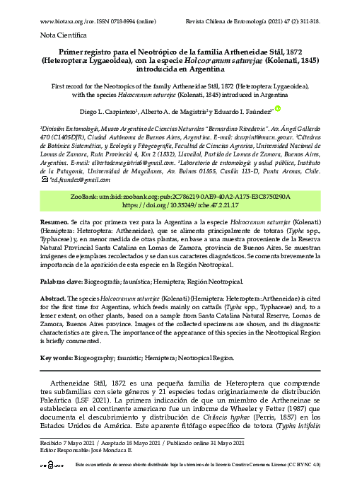 (PDF) Primer registro para el Neotrópico de la familia Artheneidae Stål ...