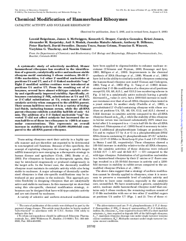 (PDF) Chemical Modification of Hammerhead Ribozymes