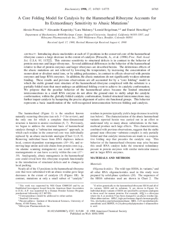 (PDF) A Core Folding Model for Catalysis by the Hammerhead Ribozyme ...