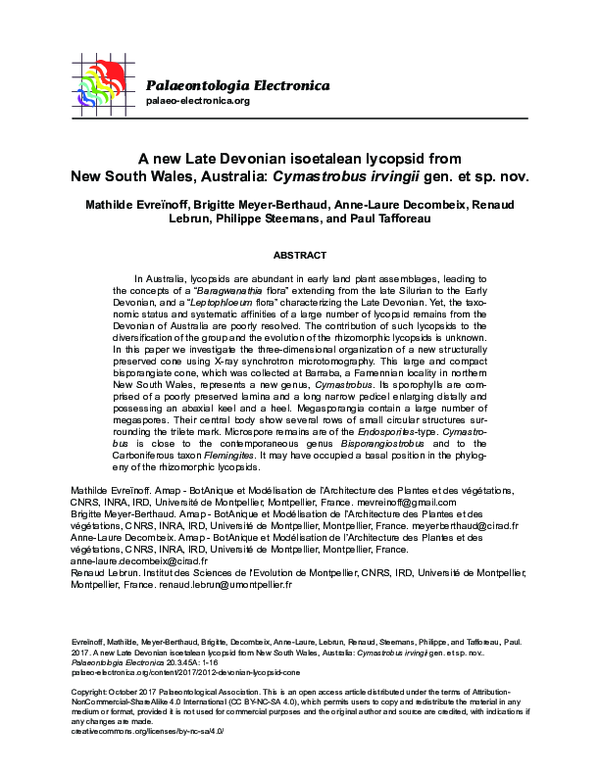 (PDF) A new Late Devonian isoetalean lycopsid from New South Wales ...