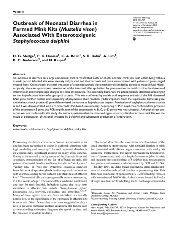 (PDF) Outbreak of Neonatal Diarrhea in Farmed Mink Kits ( Mustella ...