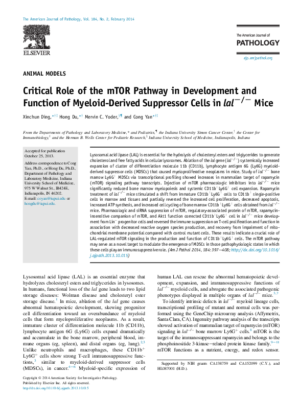 (PDF) Critical Role of the mTOR Pathway in Development and Function of ...