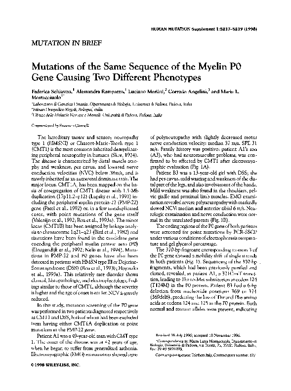 (PDF) Mutations of the ame Sequence of the Myelin PO Gene Causing Two ...