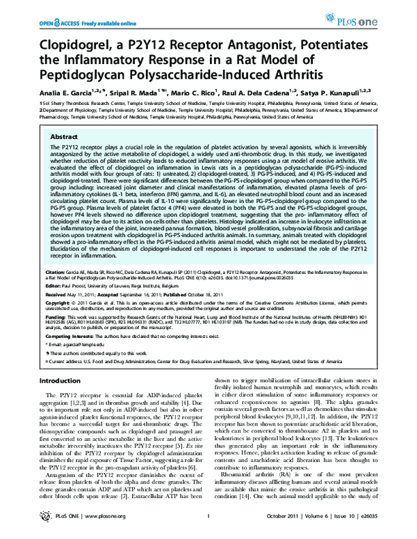 (PDF) Clopidogrel, a P2Y12 Receptor Antagonist, Potentiates the ...