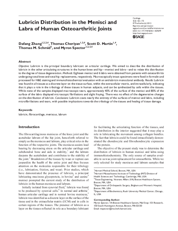 (PDF) Lubricin Distribution in the Menisci and Labra of Human ...