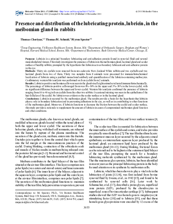 (PDF) Presence and distribution of the lubricating protein, lubricin ...