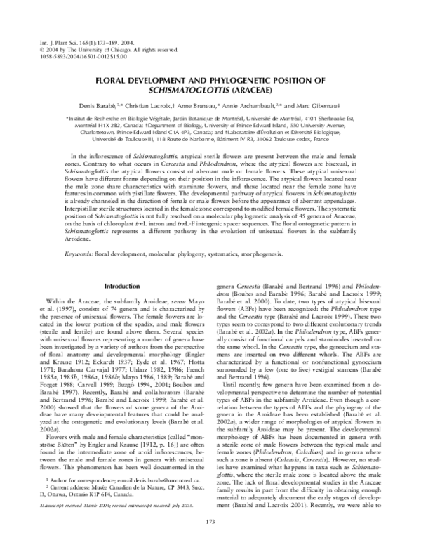 (PDF) Floral Development and Phylogenetic Position ofSchismatoglottis ...