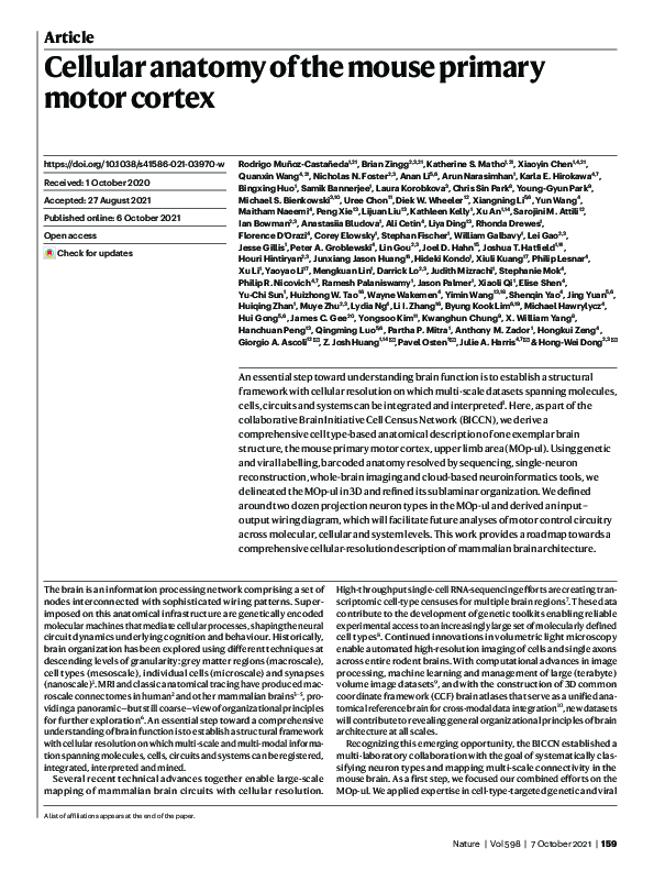 (PDF) Cellular Anatomy of the Mouse Primary Motor Cortex