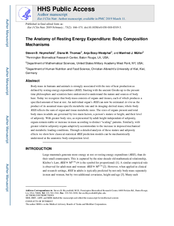 (PDF) The anatomy of resting energy expenditure: body composition ...