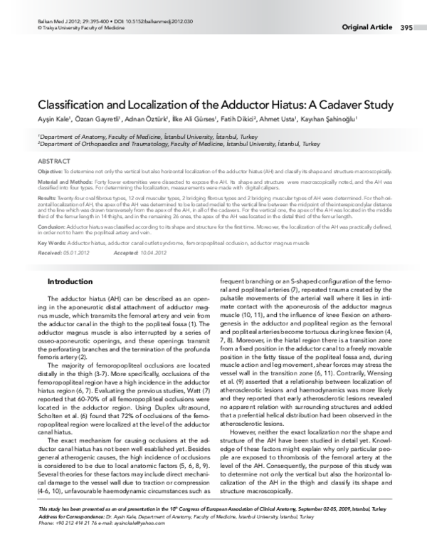 (PDF) Classification and Localization ofthe Adductor Hiatus: A Cadaver ...