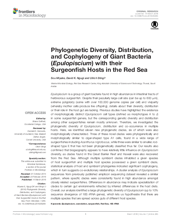 (PDF) Phylogenetic Diversity, Distribution, and Cophylogeny of Giant Bacteria (Epulopiscium ...