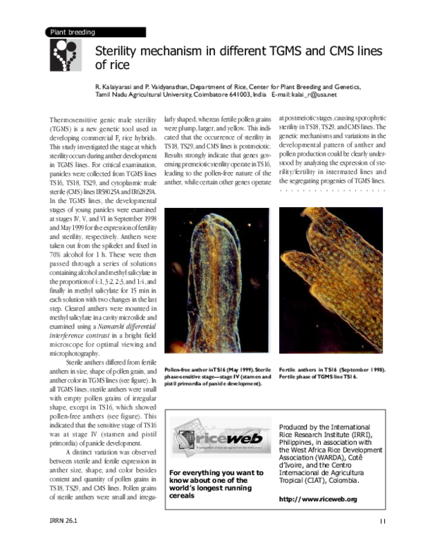 (PDF) Sterility mechanism in different TGMS and CMS lines of rice