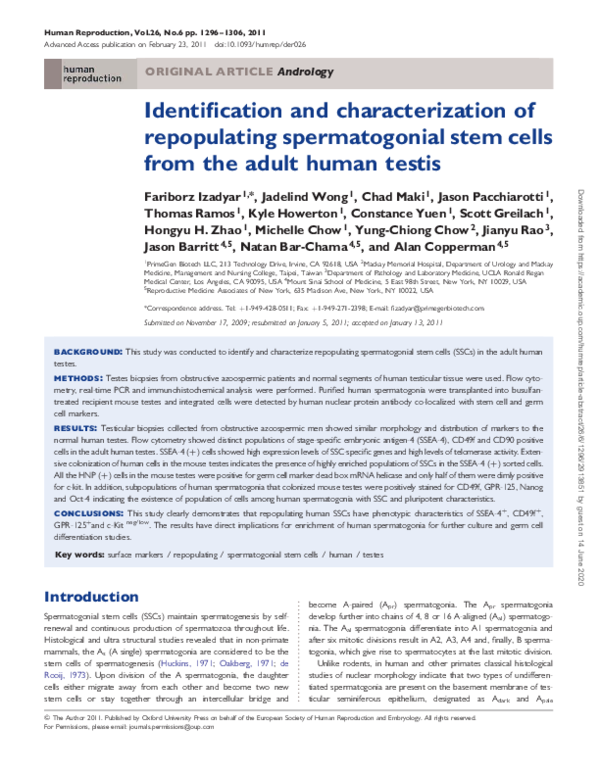 (PDF) Identification and characterization of repopulating ...