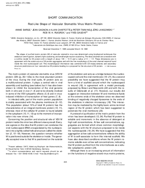 (PDF) Rod-Like Shape of Vesicular Stomatitis Virus Matrix Protein
