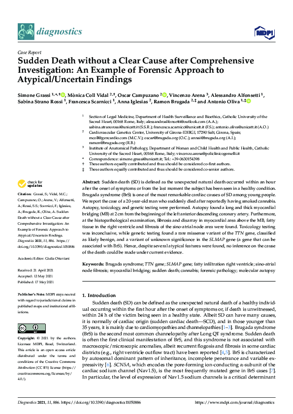 (PDF) Sudden Death without a Clear Cause after Comprehensive ...